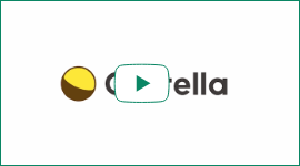 キャッシュレスデータでマーケティング課題を解決「Custella」